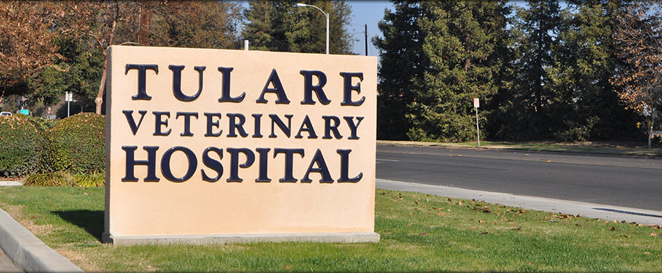 Contact Tulare Veterinary Hospital - Tulare Veterinary Hospital