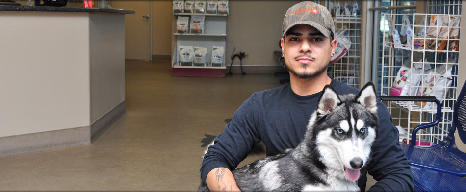 Client Center - Tulare Veterinary Hospital in Tulare County